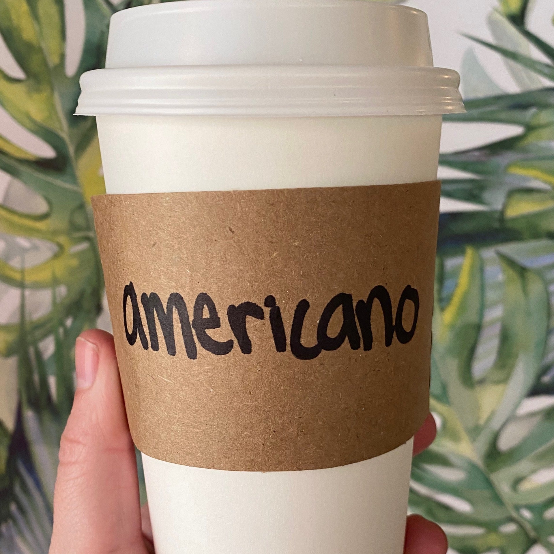 Americano | The Prickly Palm
